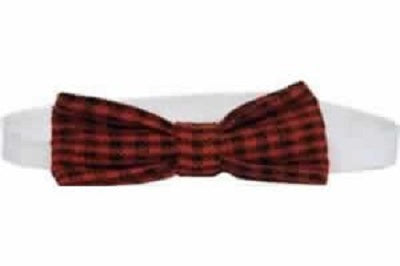 St Davids Day Bow tie – Macey Sports